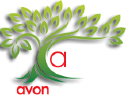 History of avon park - Avon Park Chamber of Commerce